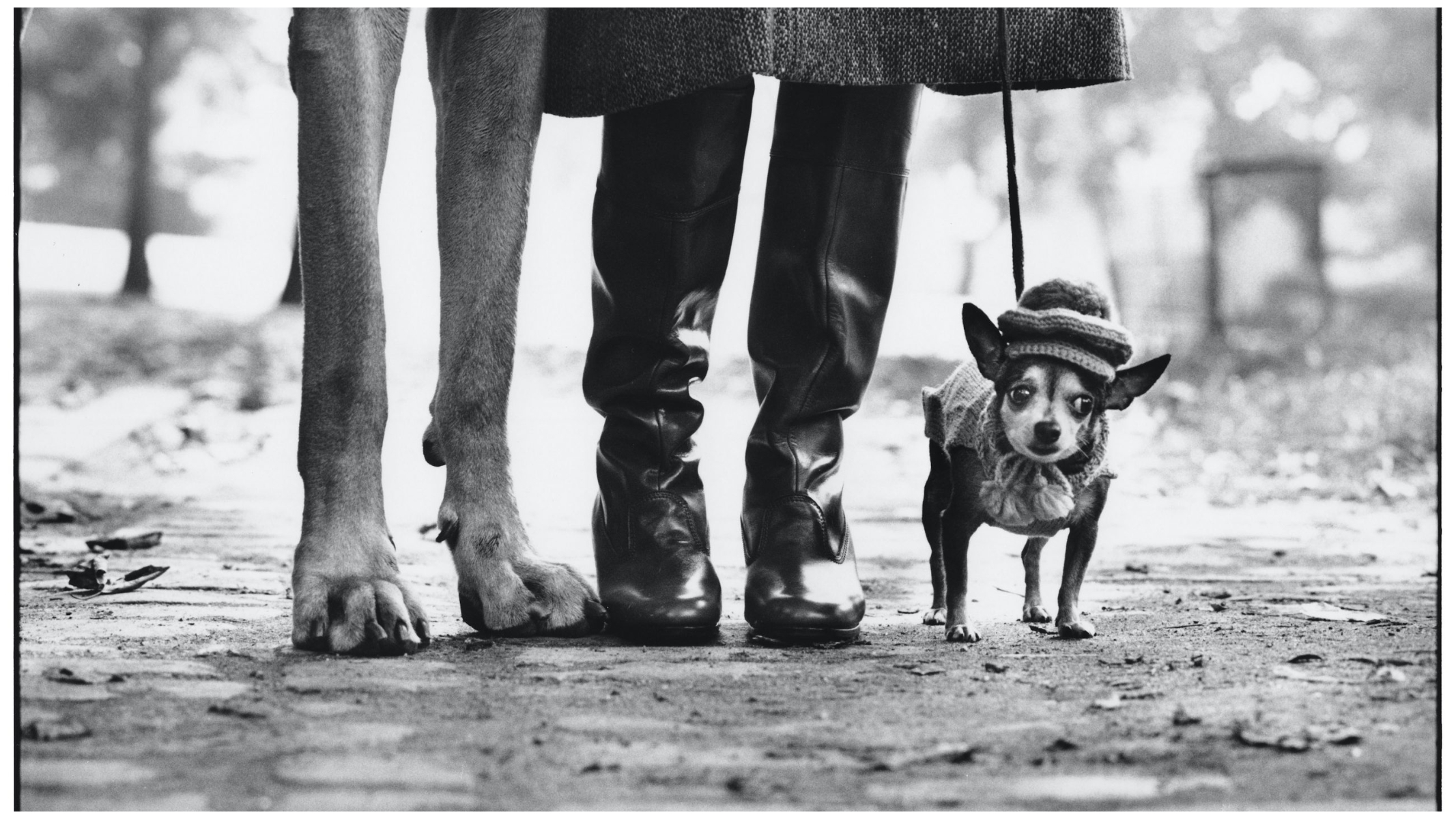 Elhunyt Elliott Erwitt (1928–2023) - PUNKT